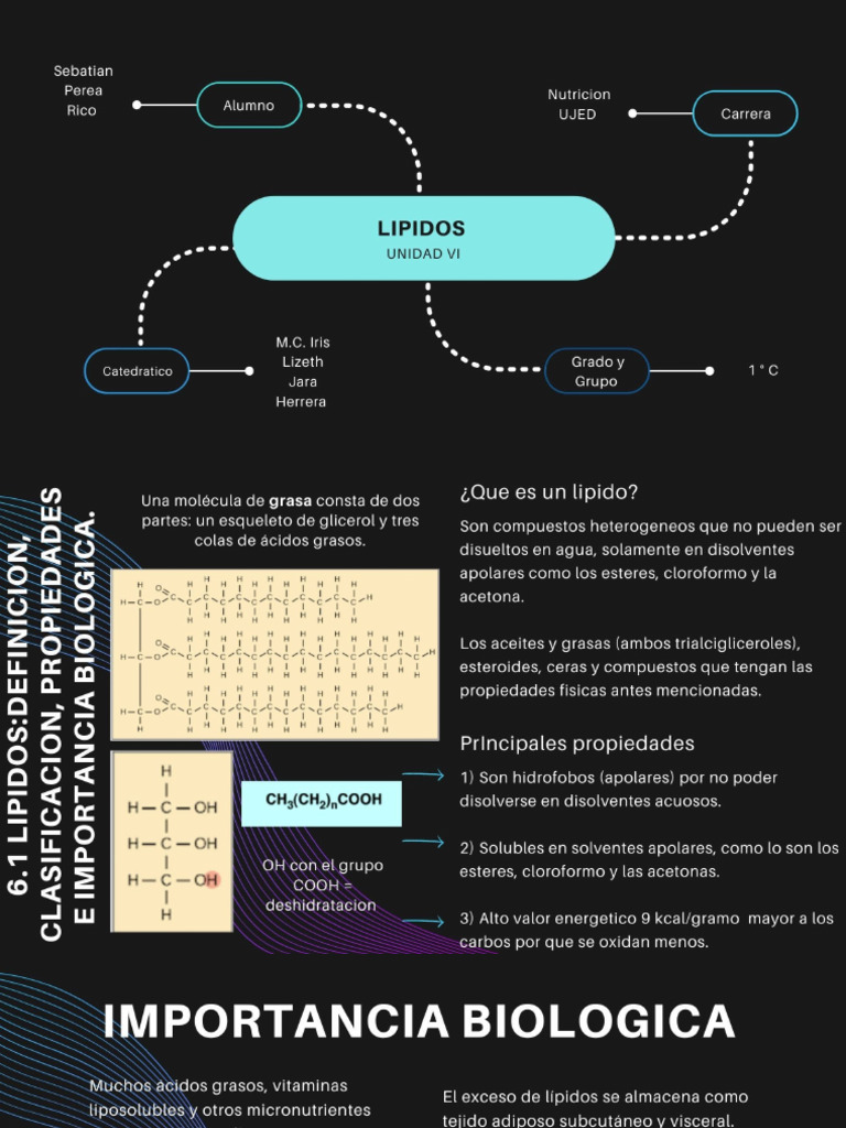 Estructura Básica de Los Lípidos. | PDF
