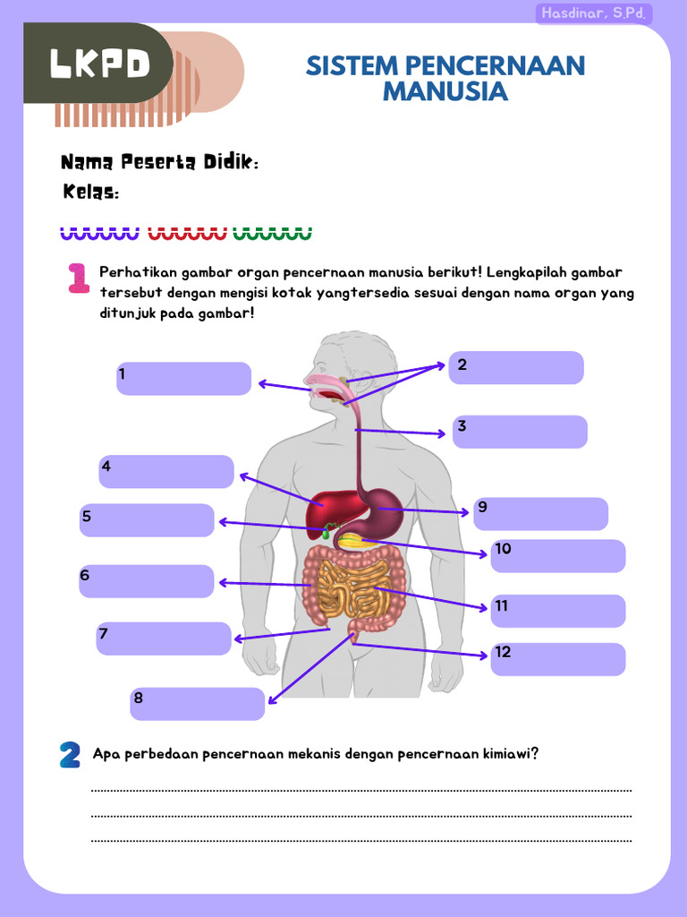 LKPD Sistem Pencernaan Manusia | PDF
