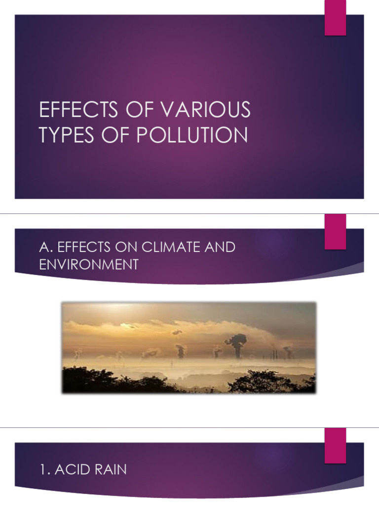 Effects of Various Types of Pollution 2 | PDF | Science & Mathematics