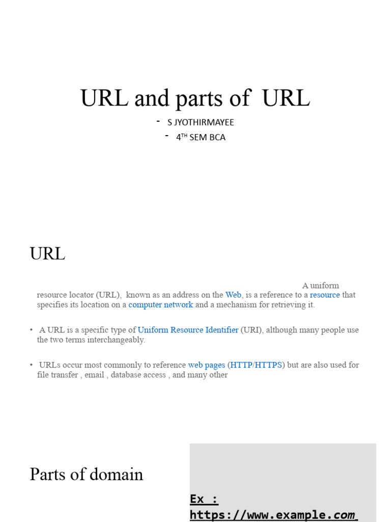 URL Basics for BCA Students | PDF | World Wide Web | Internet & Web