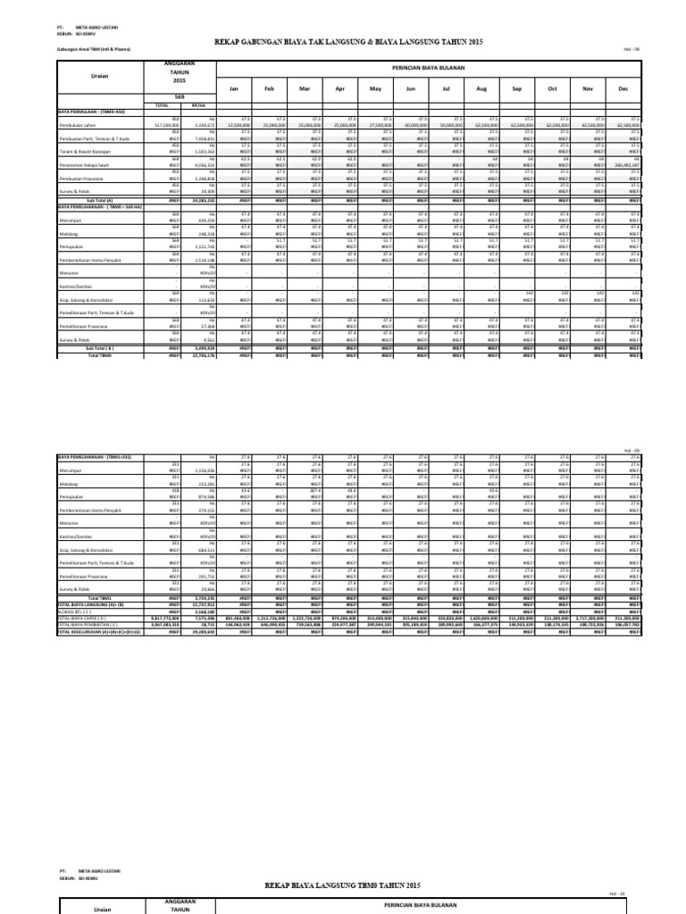 Contoh Budget lwkwow | PDF