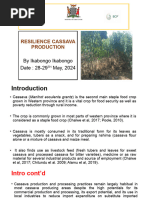 Cassava Farming Project Proposal | PDF | Agriculture | Food Security