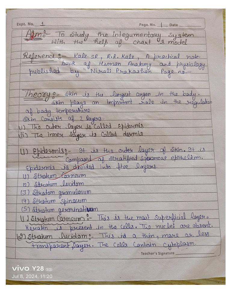 human anatomy nd physiology ( HAP) practical file | PDF