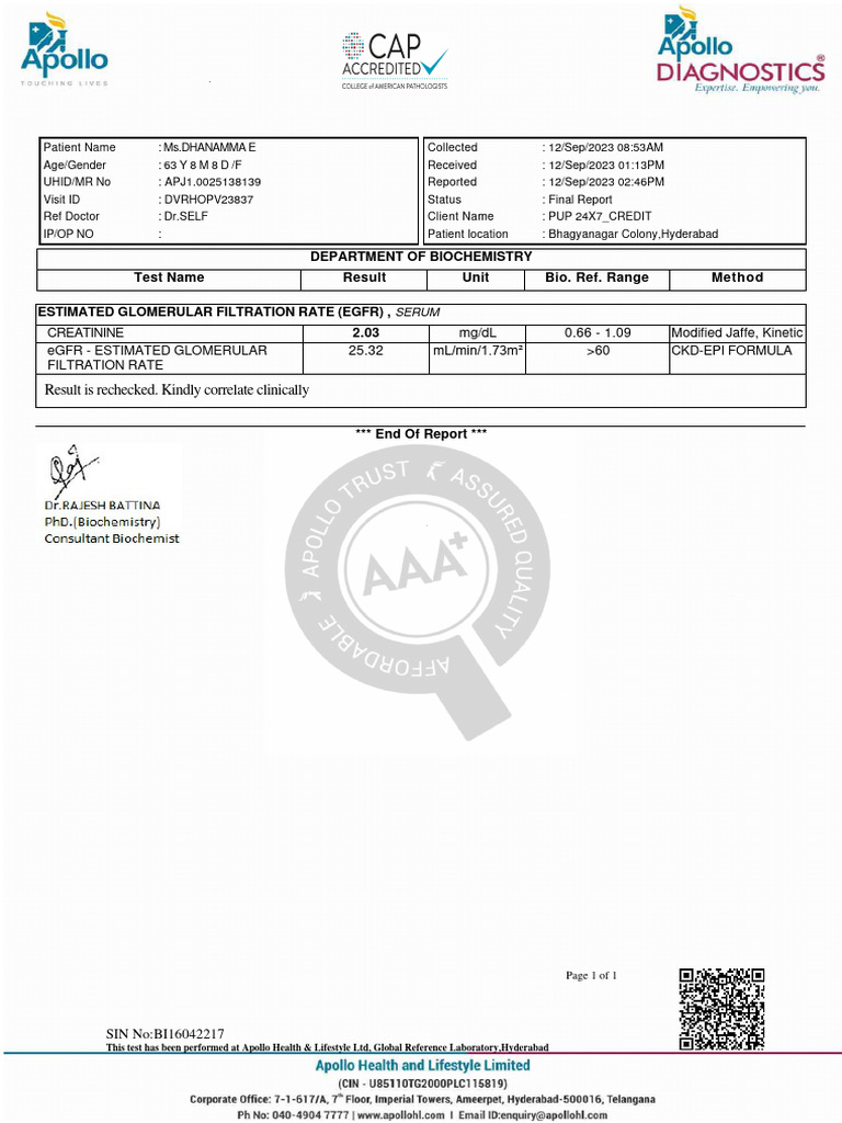 Apollo Report | PDF | Science & Mathematics
