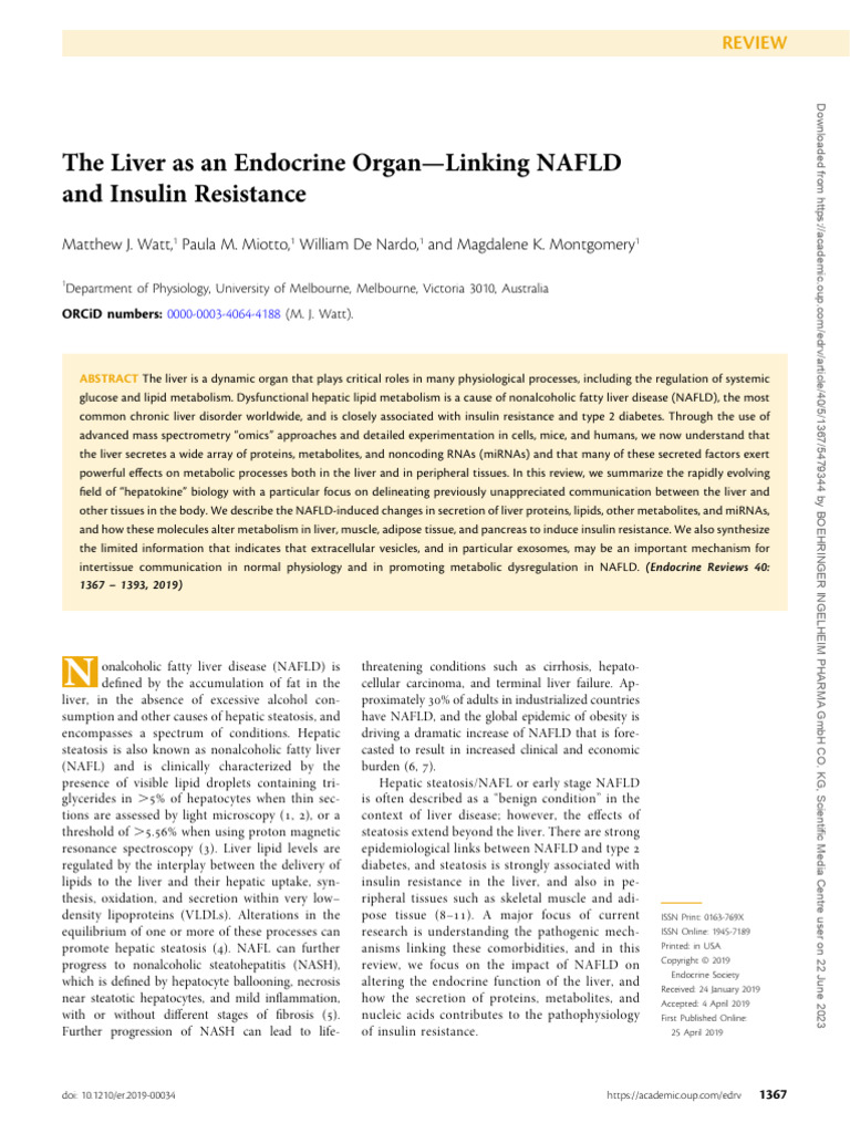 The Liver As An Endocrine Organ-Linking NAFLD | PDF | Insulin ...
