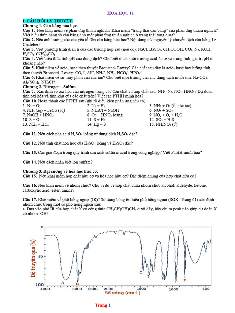 De Cuong On Tap HK1 Hoa 11 KNTT | PDF