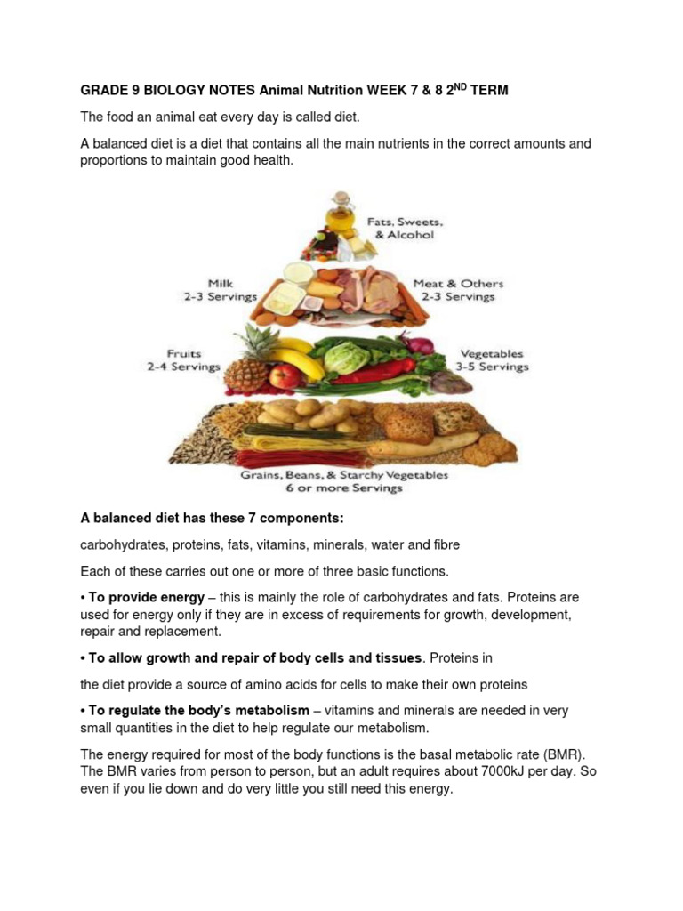 Grade 9 Animal Nutrition Notes | PDF | Food Energy | Diet & Nutrition