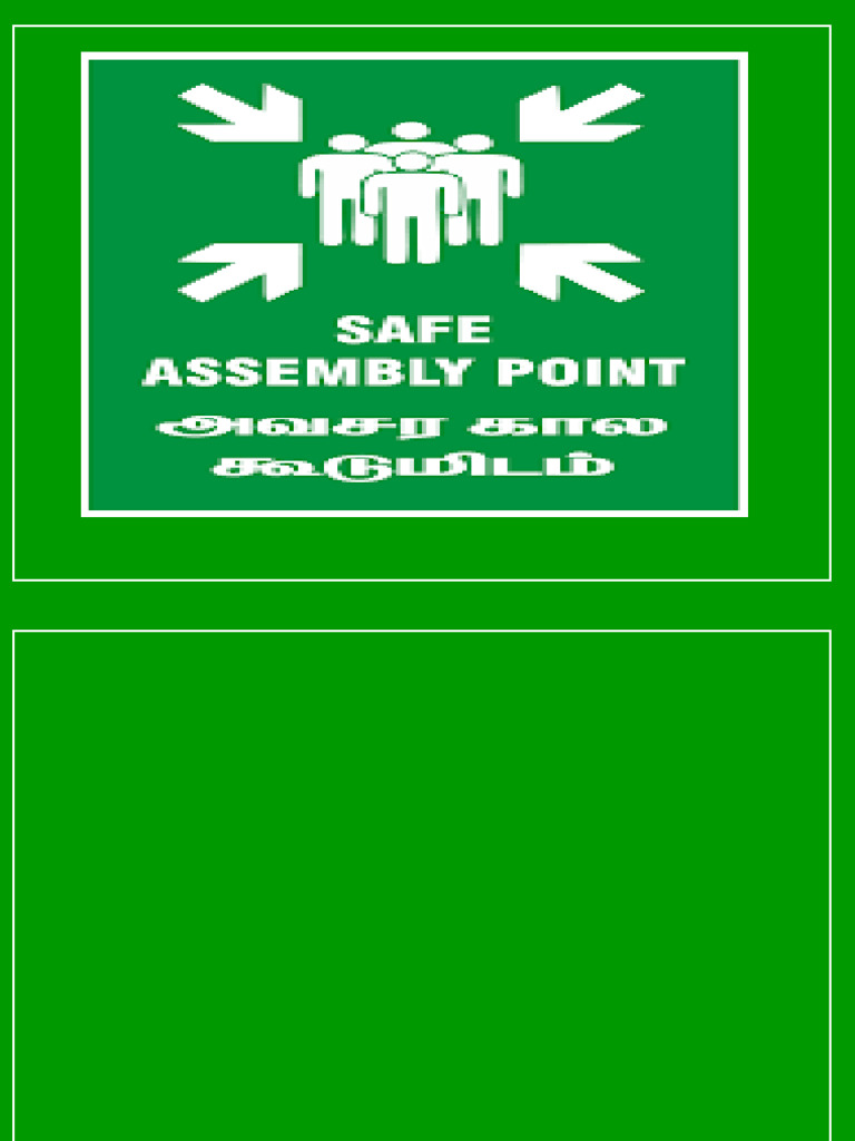 Safe Assembly Point | PDF
