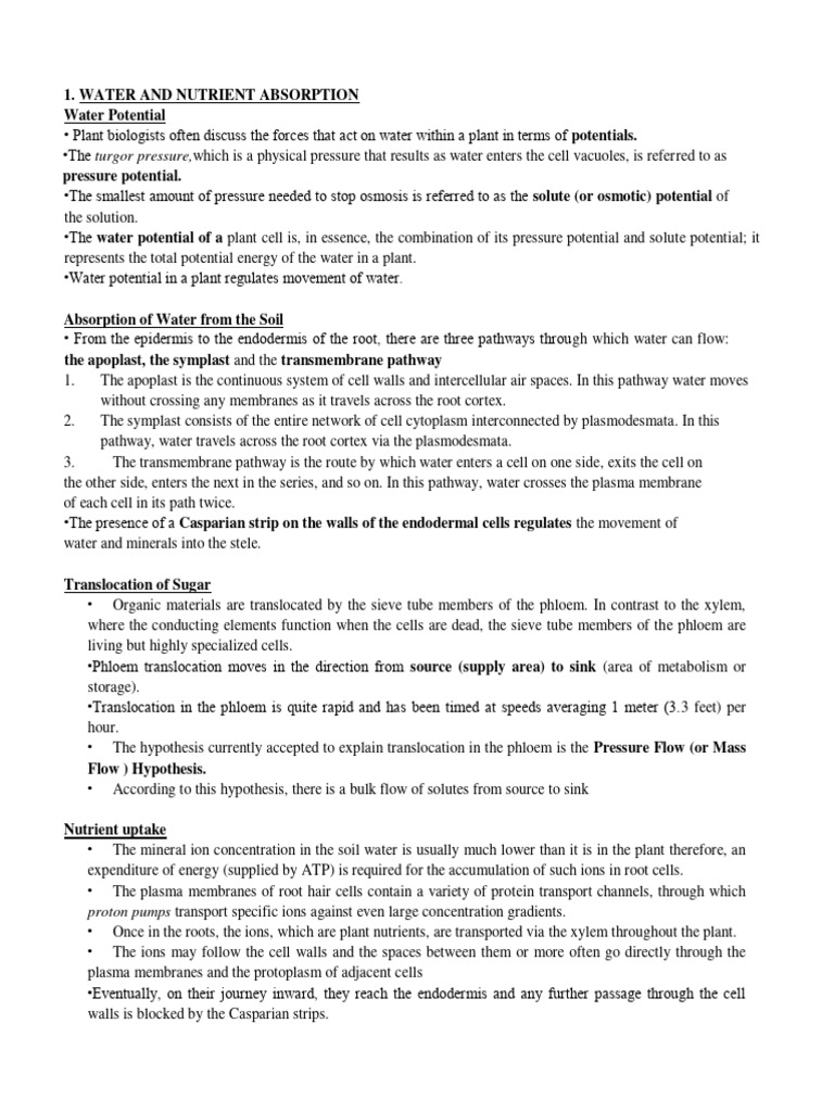 Water and Nutrient Absorption Water Potential | PDF | Stoma | Osmosis