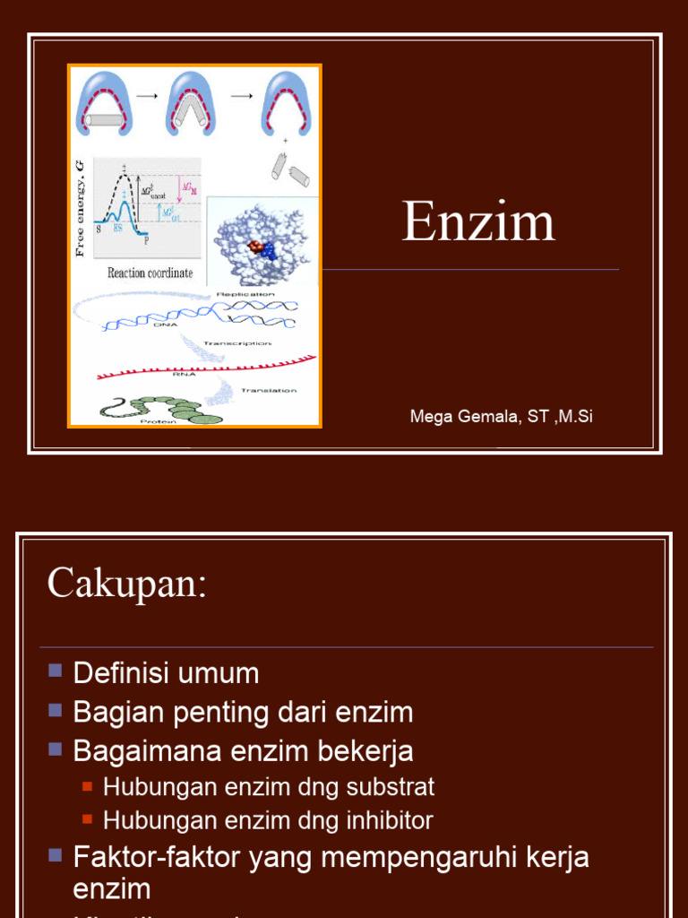 Enzim | PDF
