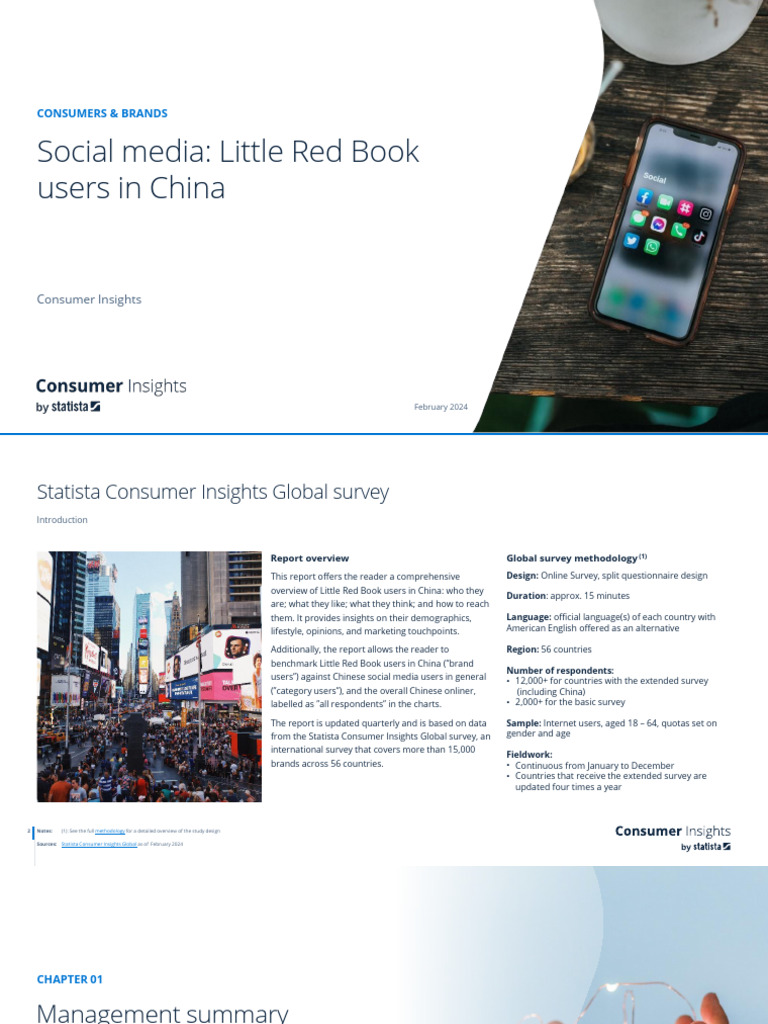 Little Red Book User Insights China | PDF | Survey Methodology | Social ...