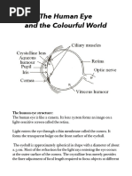 NCERT Books For Class 10 Science Chapter 11 Human Eye and Colorful World | PDF | Rainbow | Eye