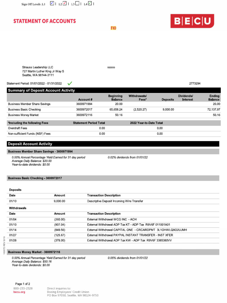 Strauss Leadership LLC - Bank Statements | PDF