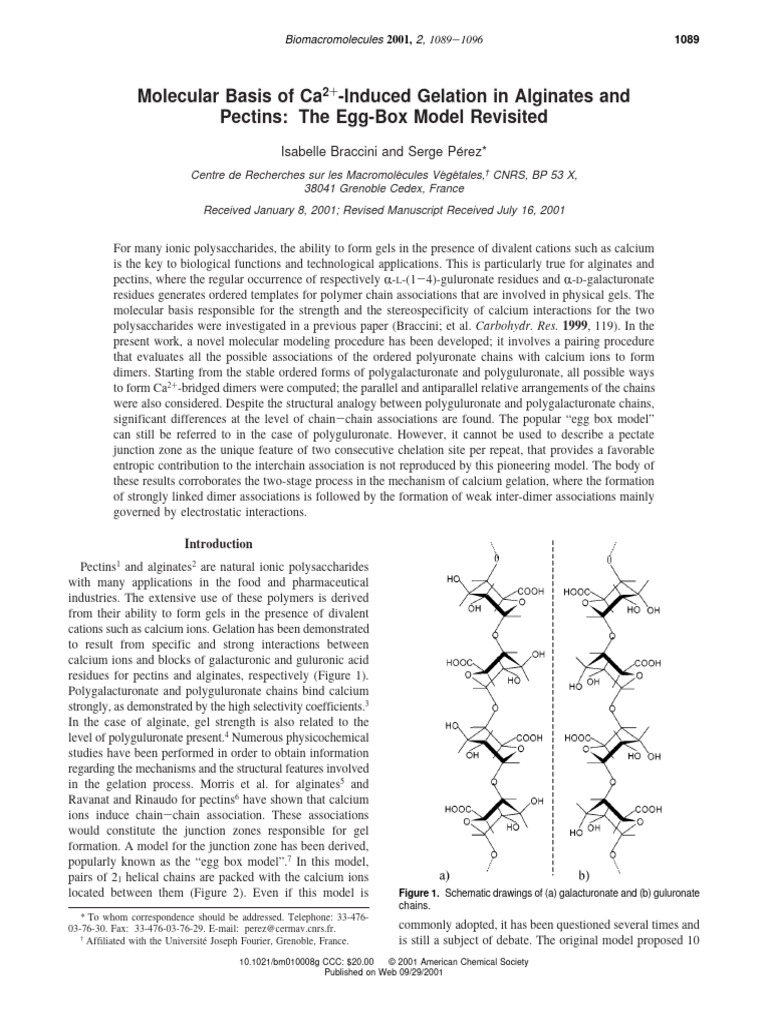 Braccini 2001 | PDF | Hydrogen Bond | Chemical Bond
