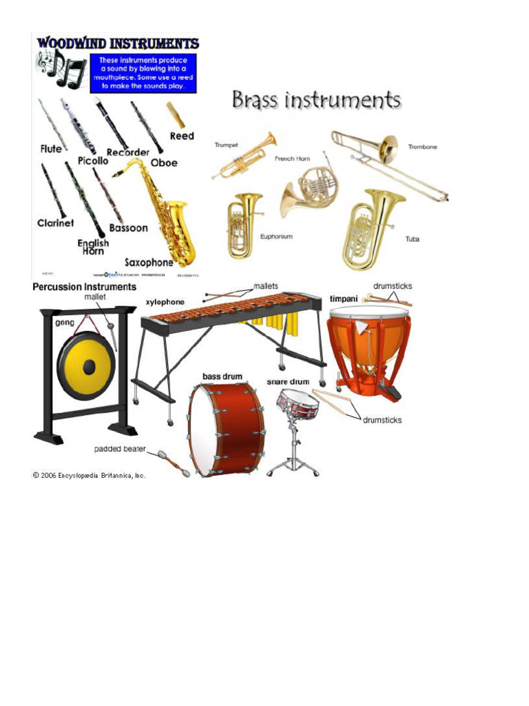 Woodwind Brass Percusion Instrument | PDF