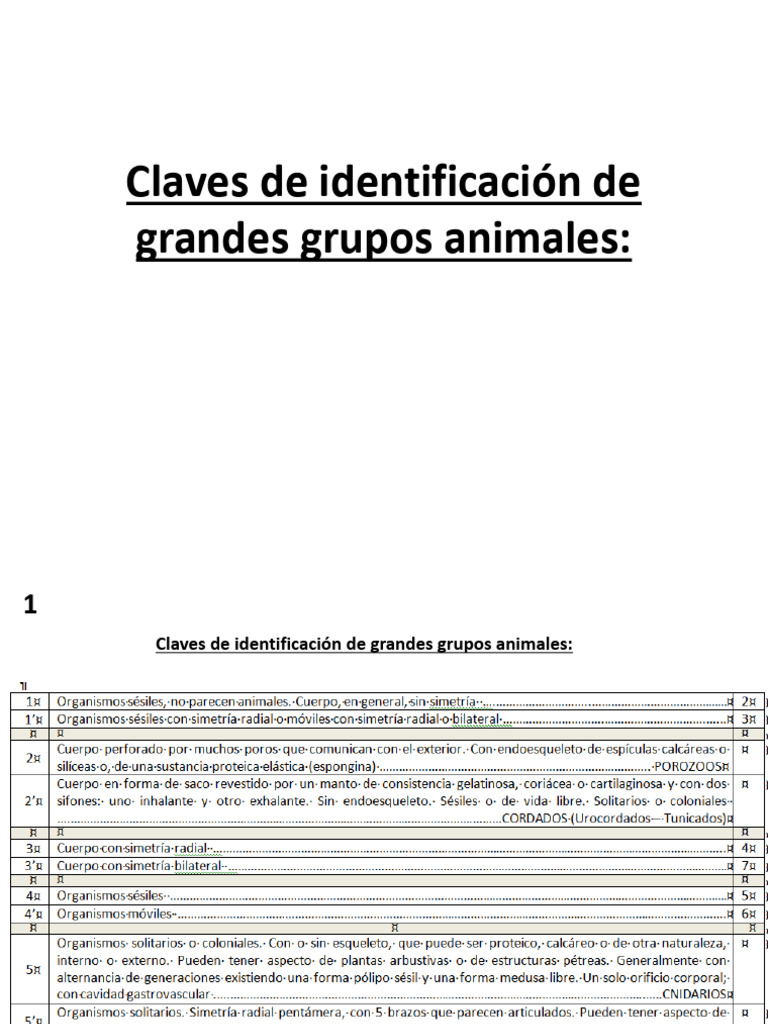 Claves de Identificación de Grandes Grupos Animales-2020-Red | PDF ...