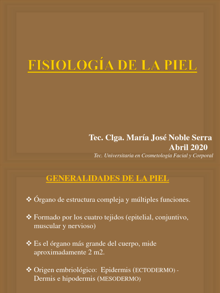 PIEL GENERALIDADES, Anatomía de La Piel | PDF | Tejido conectivo ...