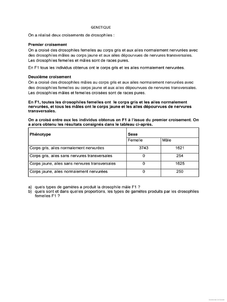 Revision Composition Dioum Methodes TS2 2024 (1) - 2 | PDF