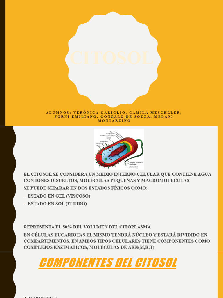 Citosol POWER | PDF | Citosol | Citoplasma