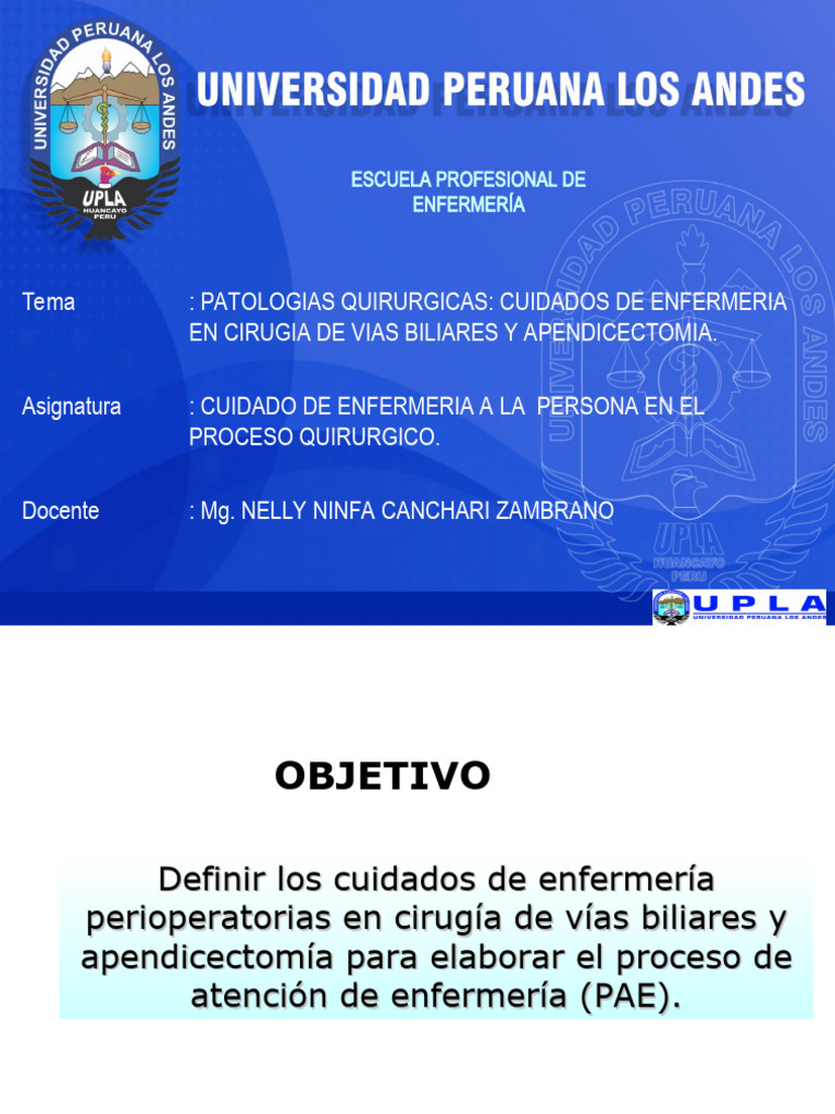 14 Clase Teoria Patologia de Vía Biliar 2 | PDF | Bilis | Medicina CLINICA