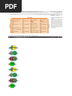 Full Name of Protein Titin | PDF
