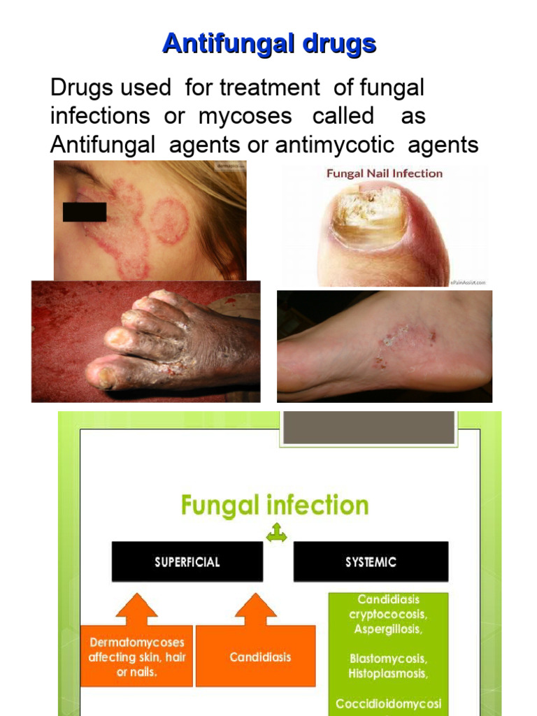 Anti Fungal Agents | PDF | Drugs | Biocides