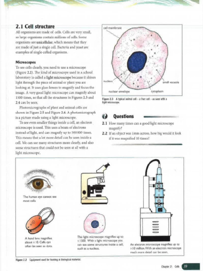 Biology Chapter 2 IGCSE | PDF