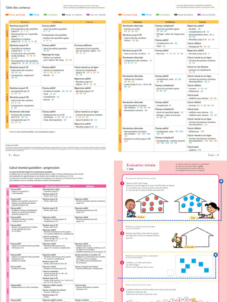 Sommaire et Evaluation Initiale | PDF