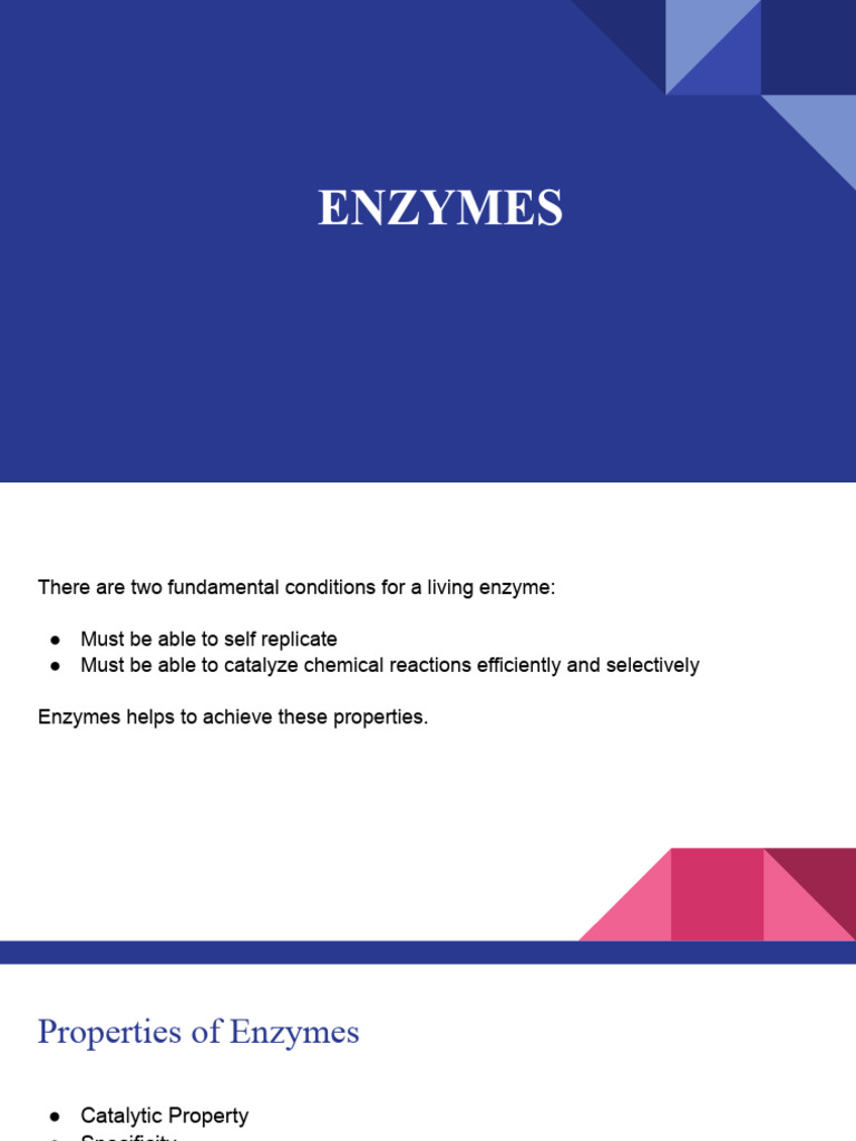 Enzymes | PDF | Enzyme | Catalysis