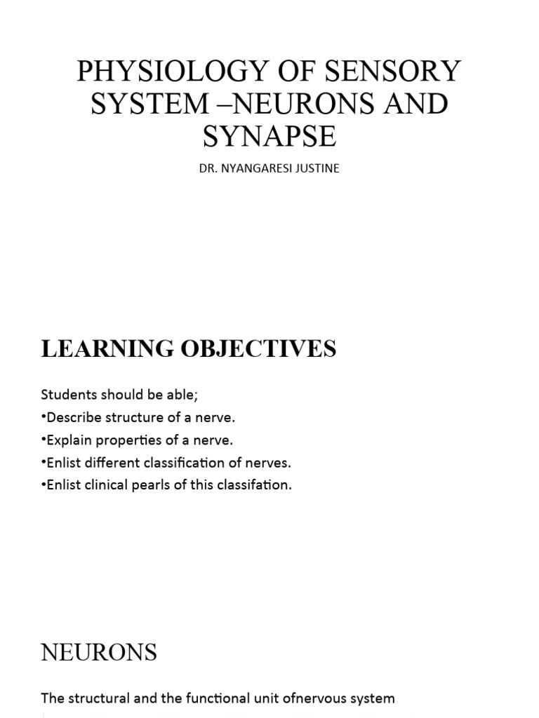 Sensory System: Neurons and Synapses | PDF | Action Potential | Myelin