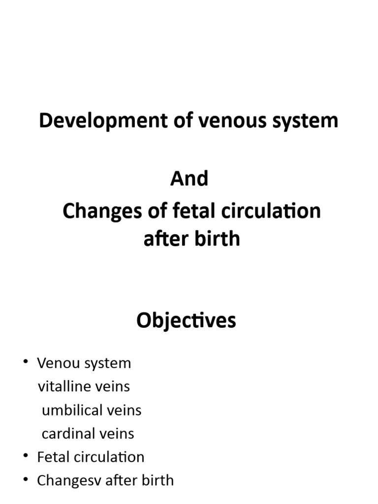 Development of Venous System | PDF | Vein | Fetus
