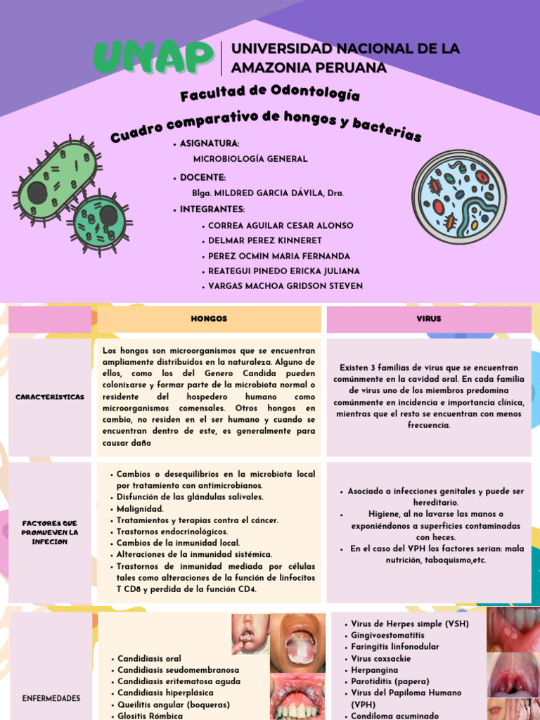 Cuadro Comparativo de Hongos y Bacterias | PDF | Virus | Candidiasis