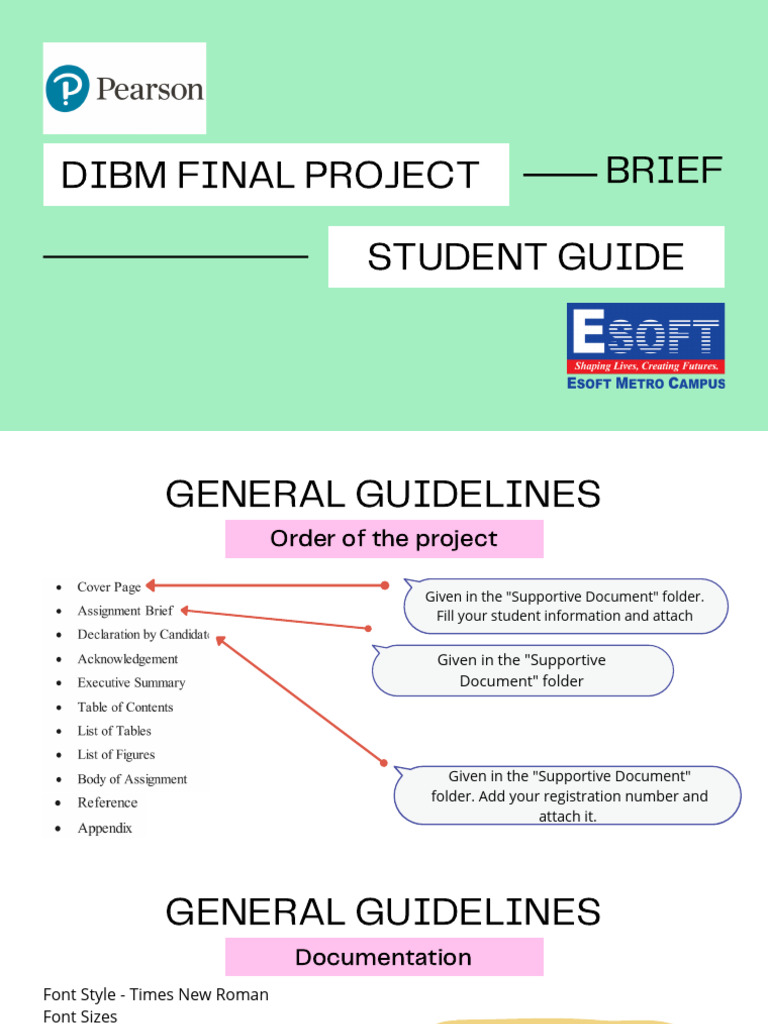 3660-1668326731185-1625-1641627759281-DIBM FINAL PROJECT Brief ...