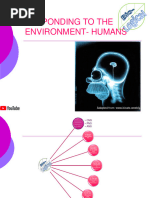 G12 LFSC (QP) DNA Code of Life Topic Test | PDF | Dna | Rna