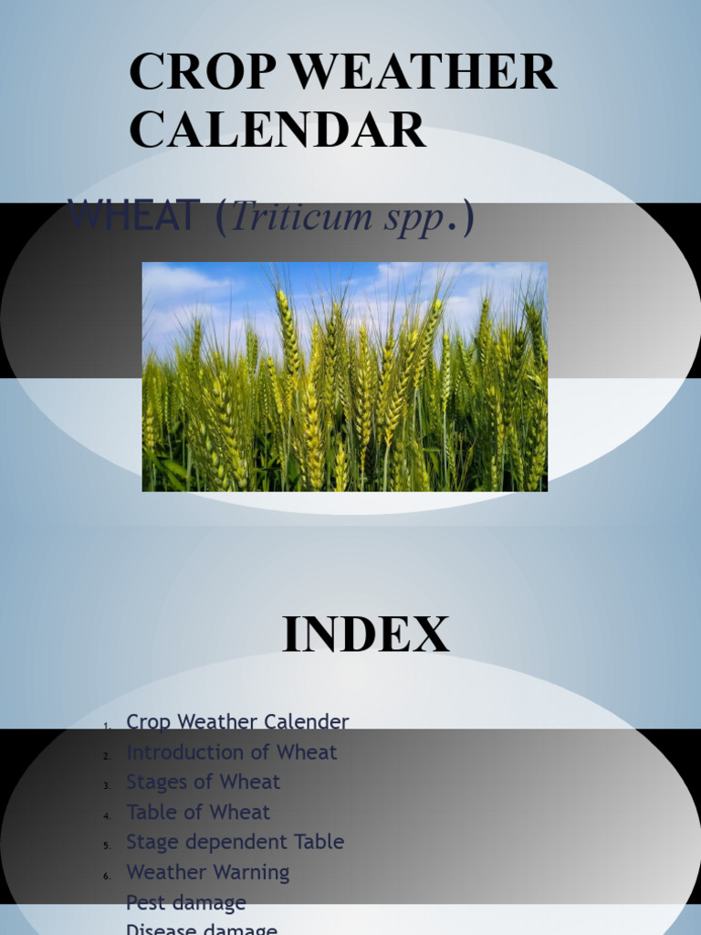 Crop Weathet Calender Wheat2022 | PDF | Wheat | Botany