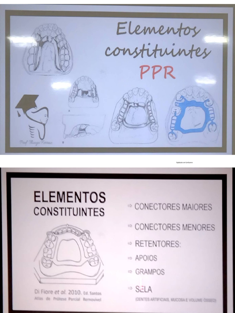Aula 3 - Elementos Constituintes Da PPR | PDF