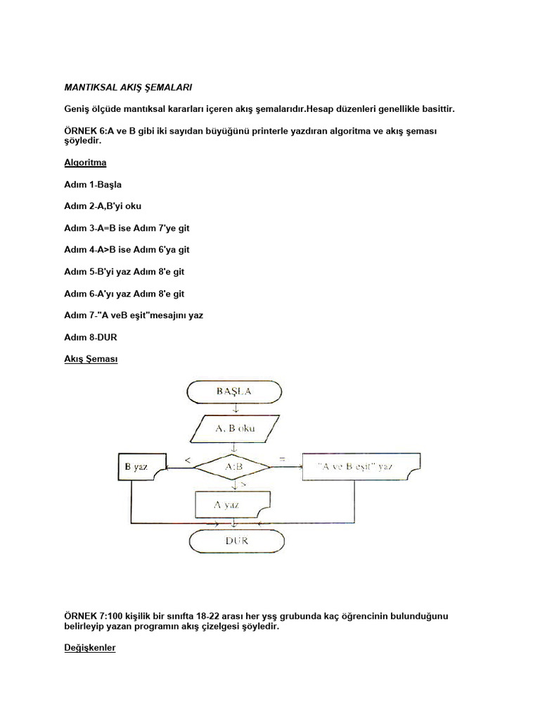 algoritma documentation in turkish | PDF
