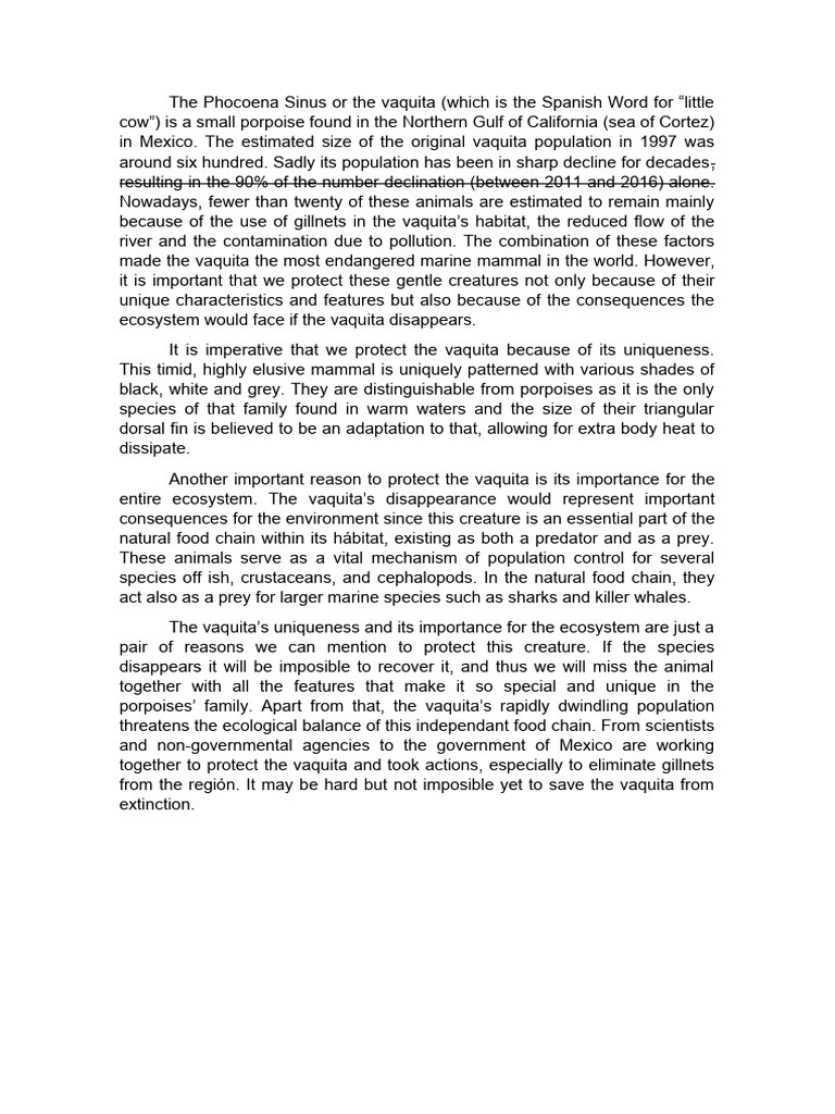 The Phocoena Sinus or The Vaquita | PDF | Natural Environment | Ecology