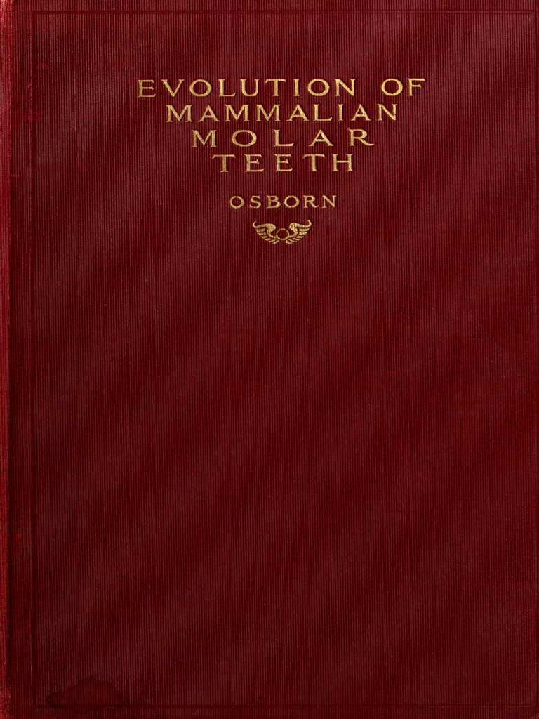 Evolution of Mammalian Molar Teeth | PDF | Tooth | Marsupials