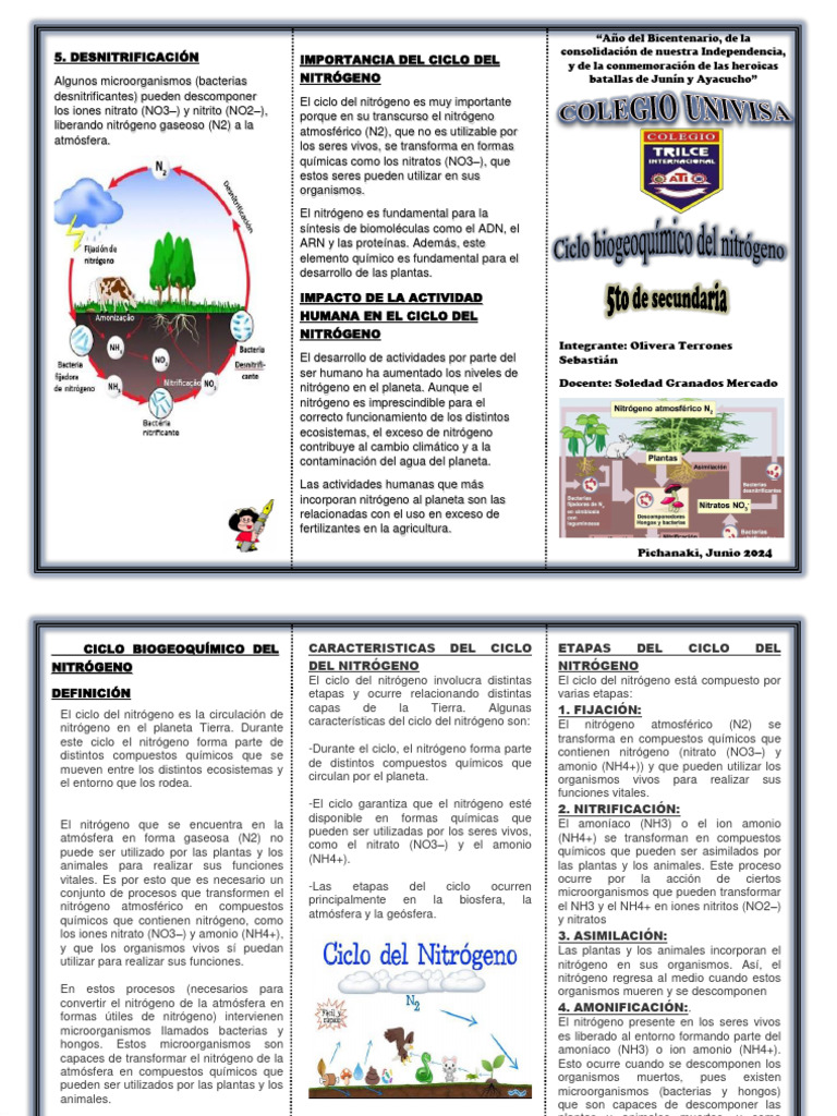 Triptico Ciclio biogeoquímicos del nitrógeno | PDF | Nitrógeno | Sustancias químicas