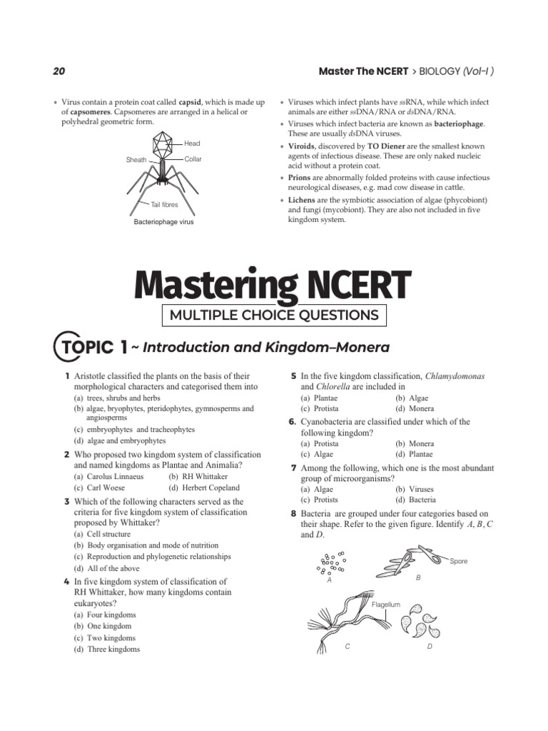 Biological Classification Assignment | PDF | Virus | Fungus