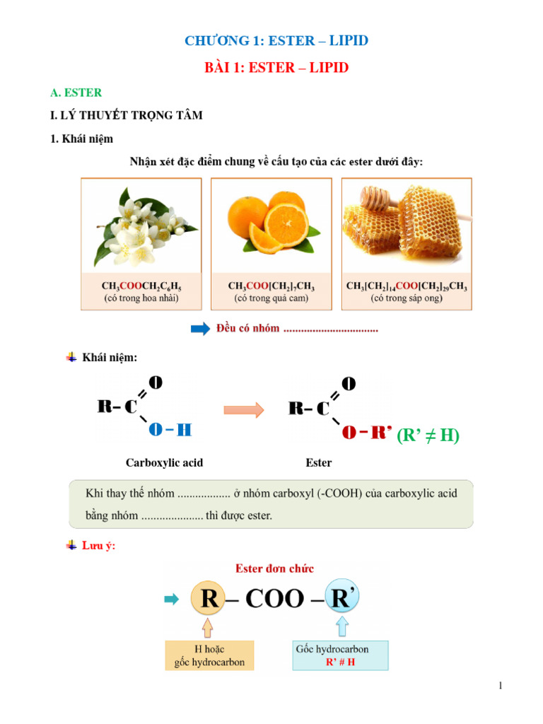 Chương 1. Ester - Lipid | PDF
