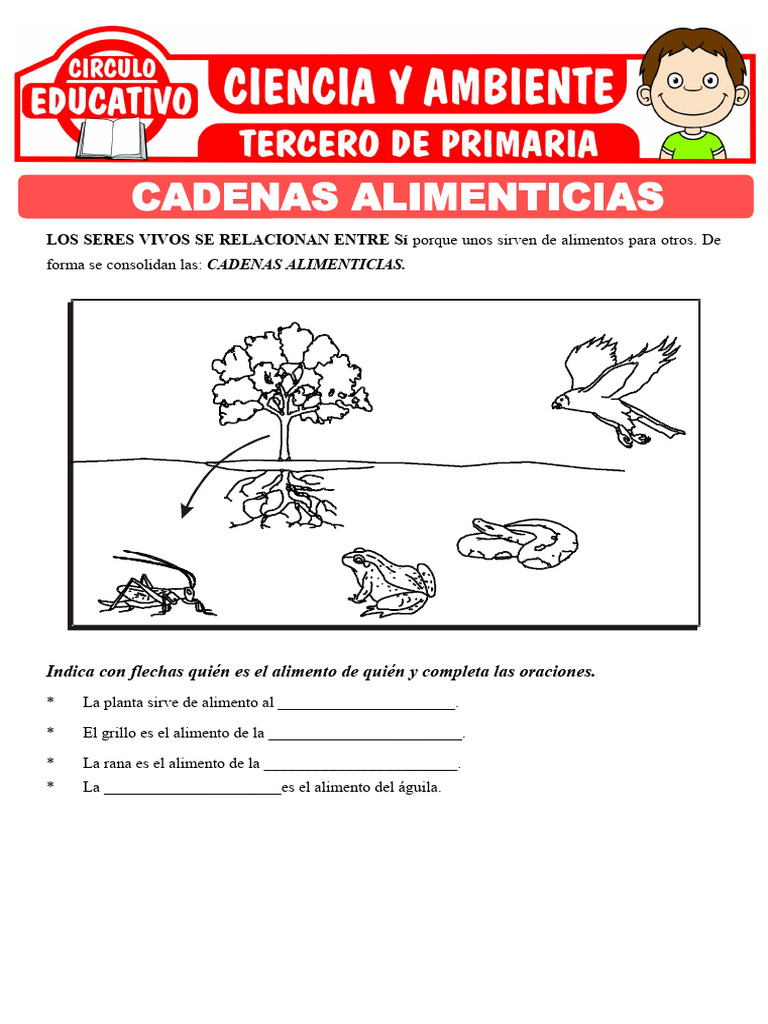 Cadenas Alimenticias para Tercero de Primaria | PDF | Ciencias sociales ...