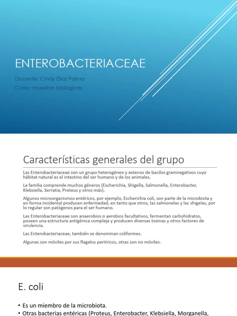 Enterobacterias | PDF | Escherichia coli | Salmonela