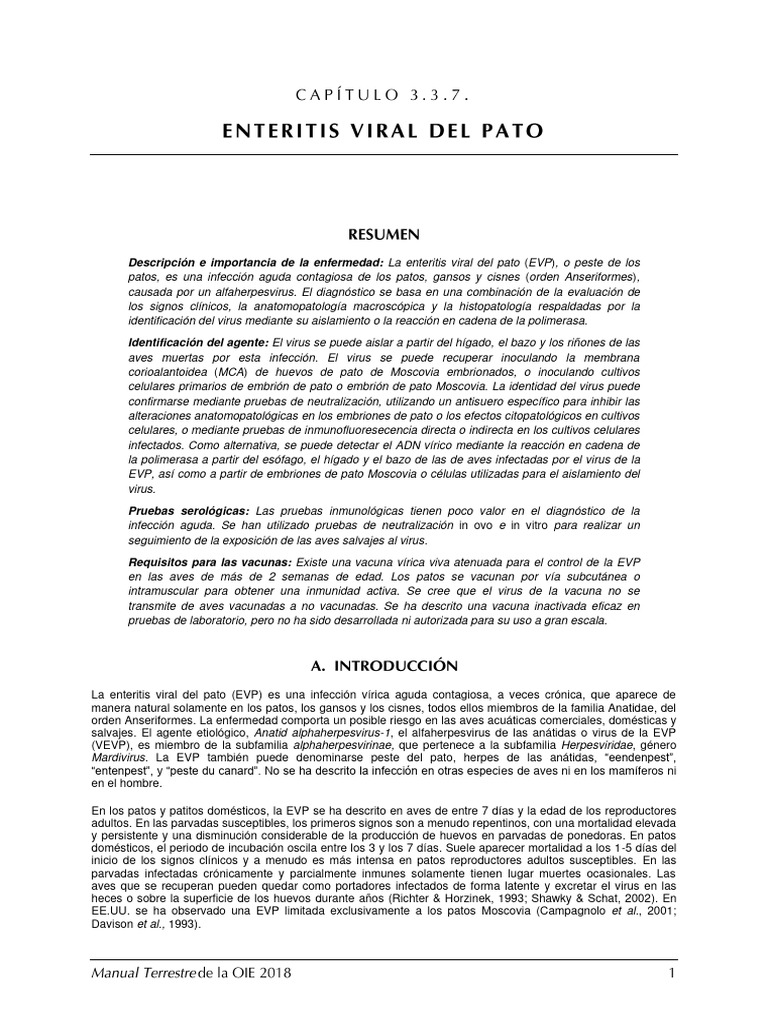 3.03.07 Enteritis Viral Pato | PDF | Reacción en cadena de la ...