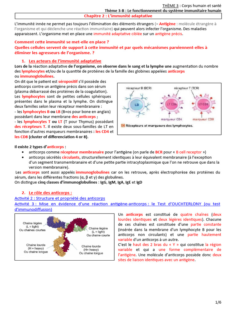 Fonctionnement du système immunitaire | PDF | Système immunitaire ...