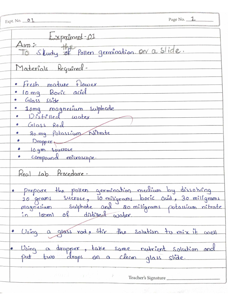 Xii Bio Expt. 1 and 2 | PDF
