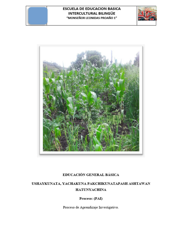 Guía U64 - C1 9NO KICHWA | PDF | Adjetivo | Gramática