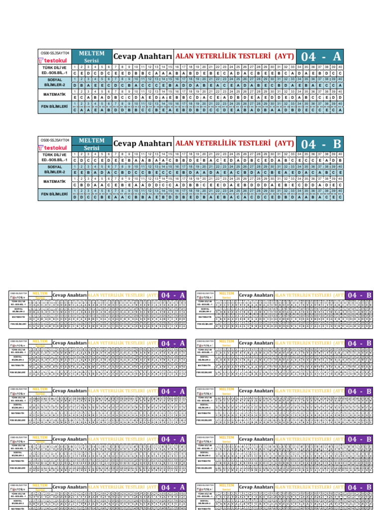 Meltem 4. Yks 2. Oturum - Ayt 04 (Os00-Ss.35ayt04) Ca | PDF