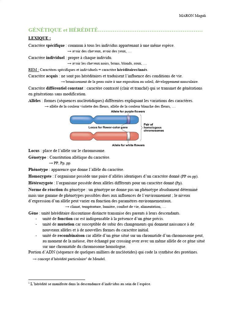 Concepts clés de génétique et d'hérédité | PDF | Dominance (Génétique ...